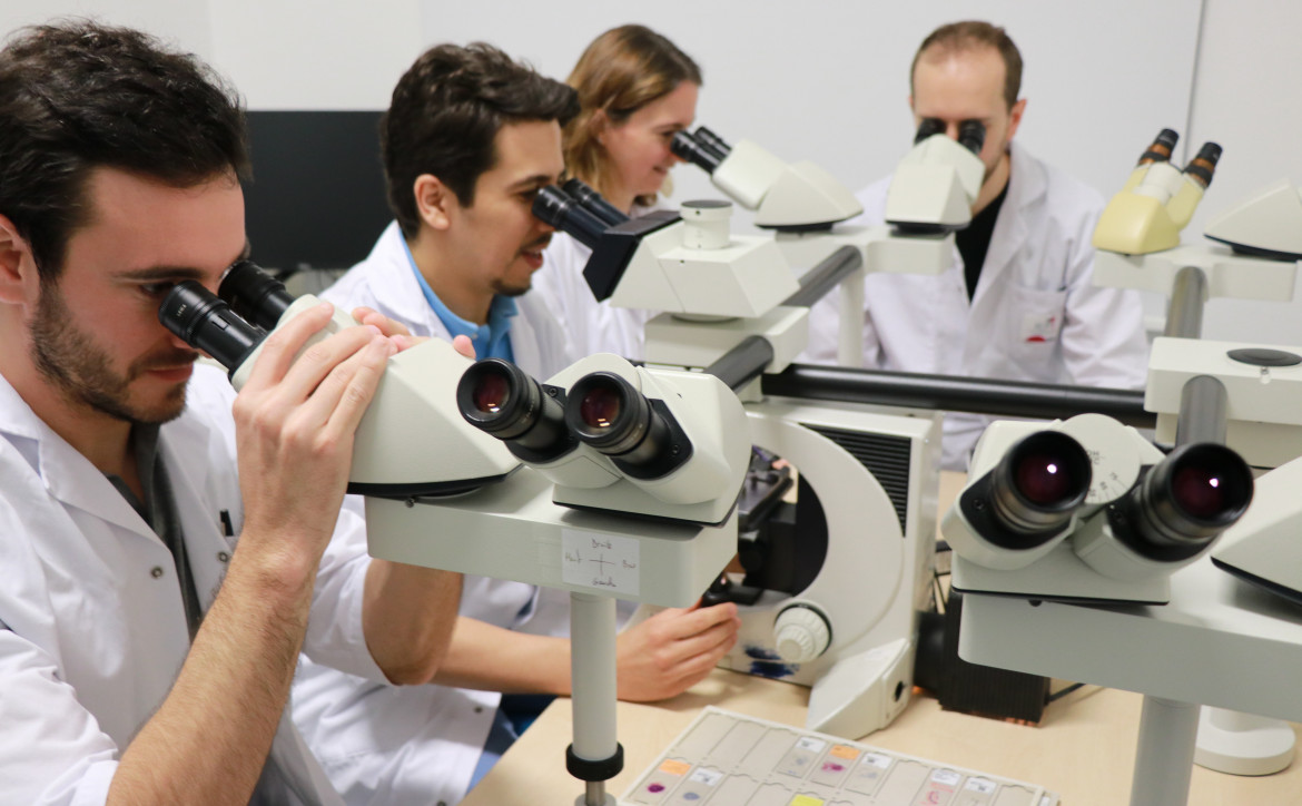 L'anatomopathologie à l'ICM | ICM Montpellier